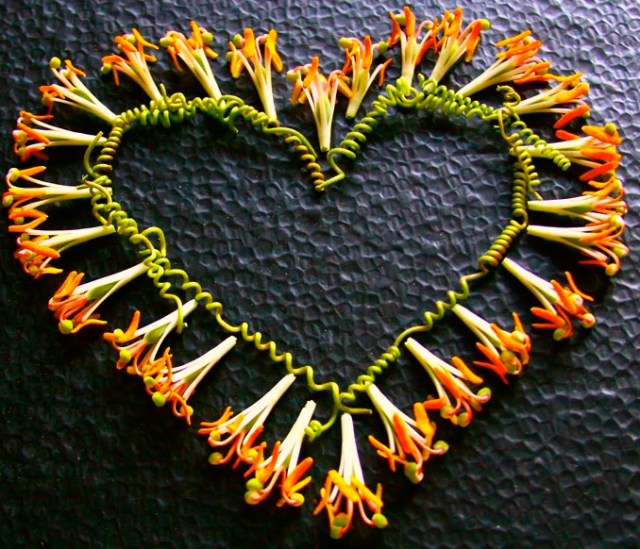Monday Hearts For Madalene | Laura Grace Weldon