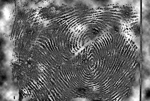 jagged learning profile | Laura Grace Weldon