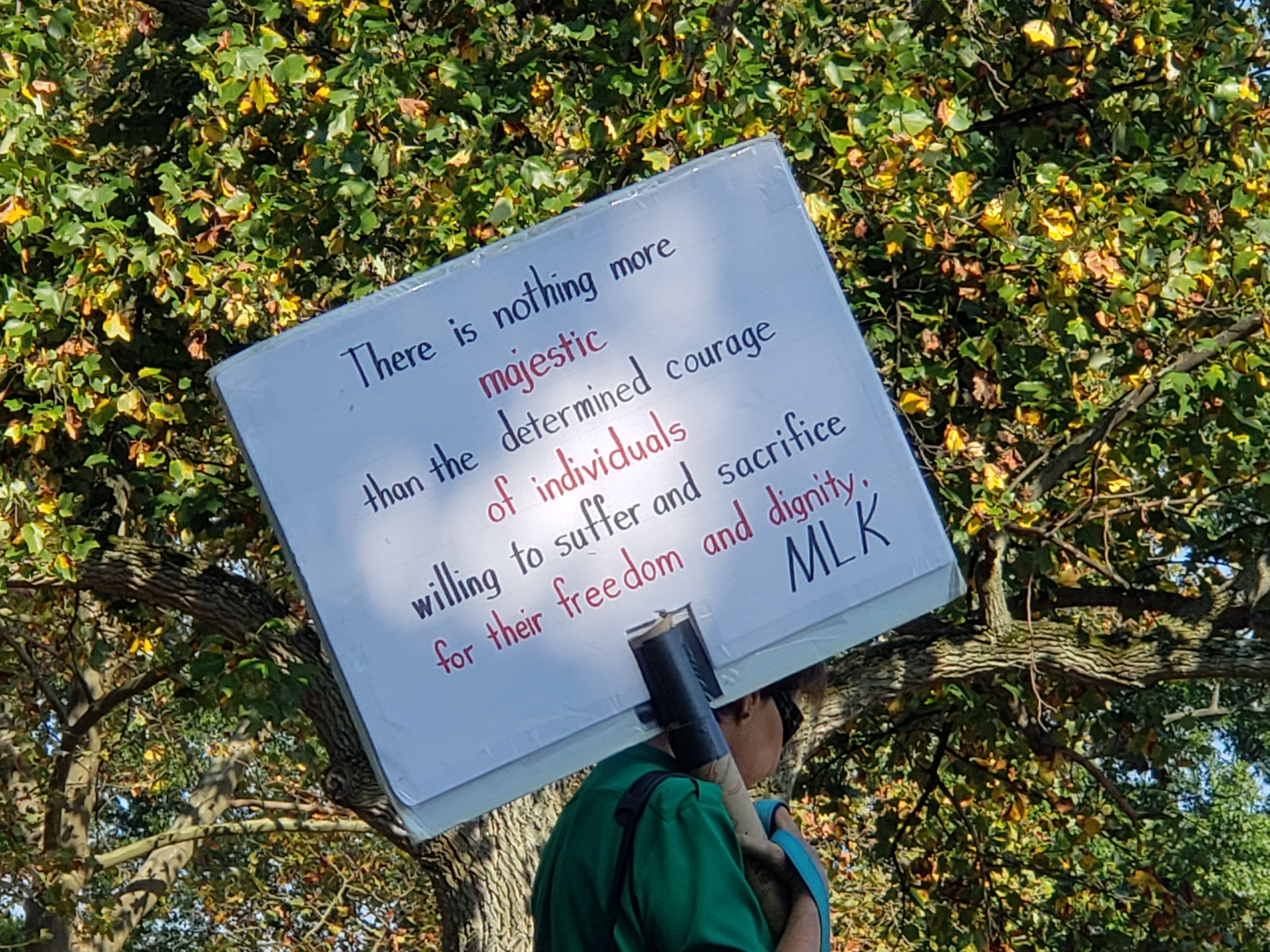 2019: What A Year | Laura Grace Weldon