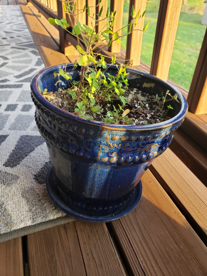 Gratitude via Mental Subtraction | Laura Grace Weldon