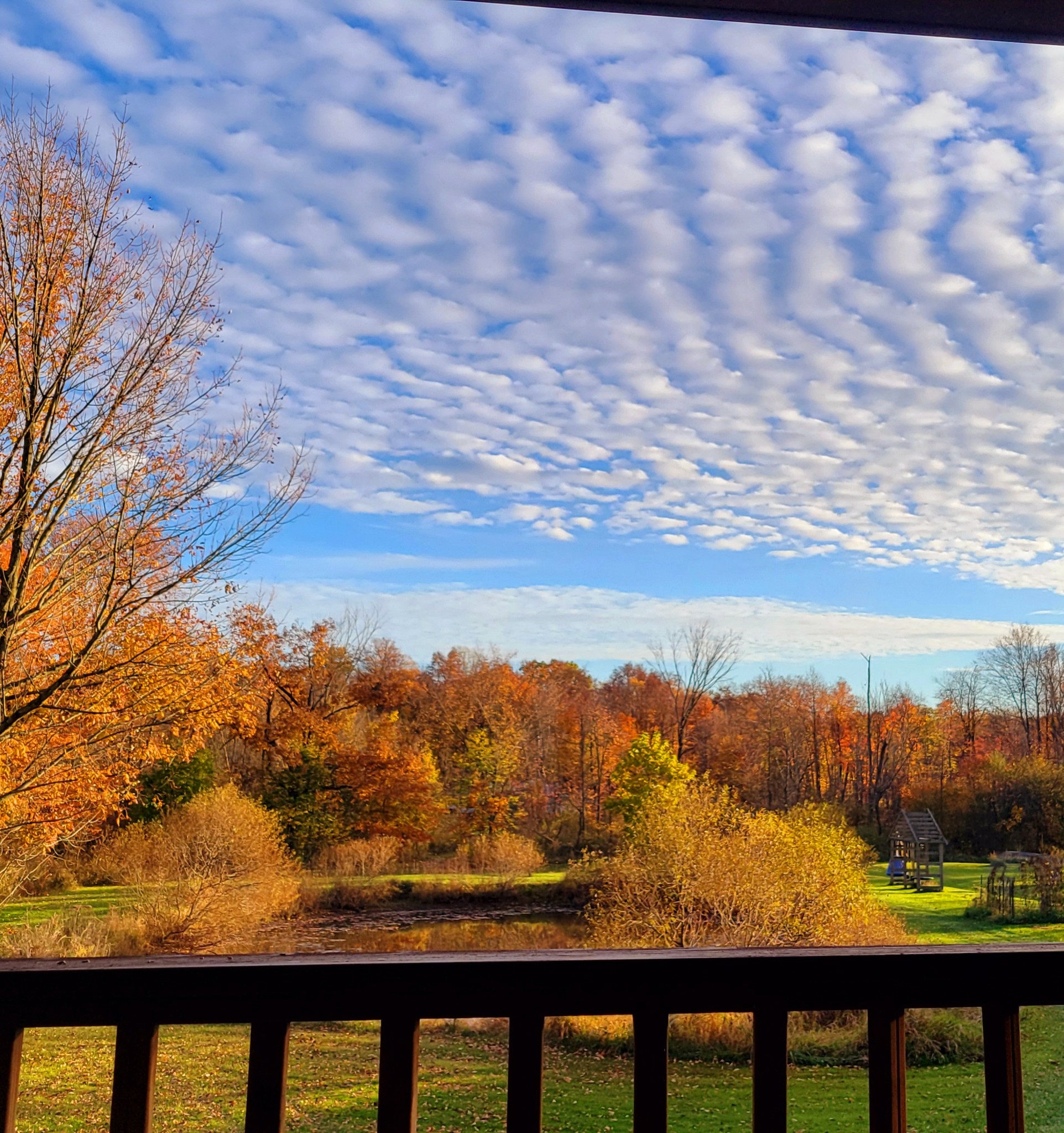 Blog | Laura Grace Weldon | Free Range Learning, Creative Living, Gentle Encouragement, Big ...